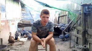 Что должен знать каждый птицевод.                  Обязательно к просмотру.