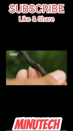 GARDEN SCISSOR GRAFTING TOOLS PRUNING CUTTING TOOLS #Shorts