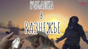 Рыбалка в РАЗНЕЖЬЕ.