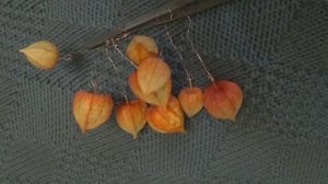 Скелетирование физалиса