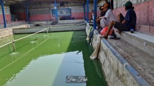 SPOT HARI INI TIDAK TERLALU.BAGUS DAN TDK  JELEK JG || MANCING HARIAN IKAN BAWAL || Selasa, 6/8/24