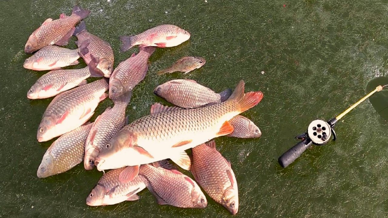 ЭКСТРЕМАЛЬНАЯ ЗИМНЯЯ РЫБАЛКА В МАРТЕ! ЛОВЛЯ ОГРОМНЫХ КАРАСЕЙ! ПОСЛЕДНИЙ И ОПАСНЫЙ ЛЁД 2025.