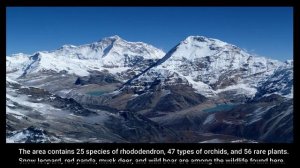 Top Ten Highest Mountains In The World