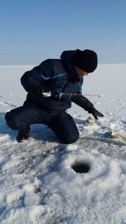 Рыбалка озера зайсан.қышыр