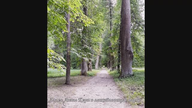 Михайловское. Псковская обл. 06. 2018г.