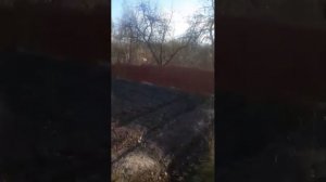 Как узнать где бурить скважину под воду на участке в Минске и Беларуси?