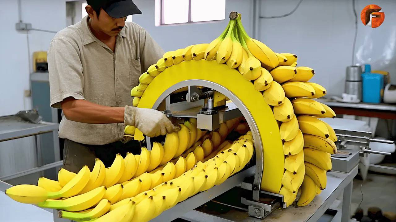 Современные машины для обработки пищевых продуктов, работающие на безумном уровне
