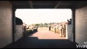 Секретариат🏇❤
