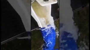 Зарыбление водоёма. Компания Живец.ру