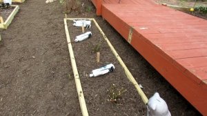 Tour 4 2019: TRG Homestead - Things are Planted, Nursery Plants Arrived & The Garden is Taking Shap