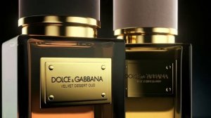 Velvet Cypress 2017 - Dolce & Gabbana