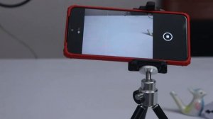 Miui 12 Timed Burst Feature Tutorial - STOP Motion made Easy