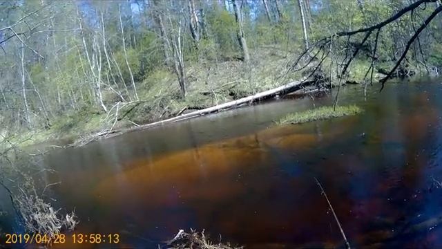 Ловля Хариуса. Вейдерсы от Вездеход. Твичинг с UL спиннингом.