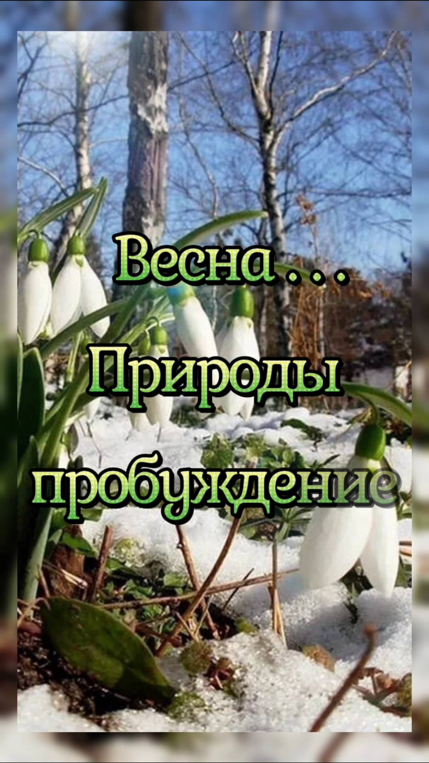 Весна...Природы пробуждение