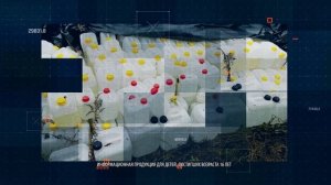 Чистое поколение 2025: Что делать если вы узнали о деятельности нарколаборатории (ГУНК МВД) /16+