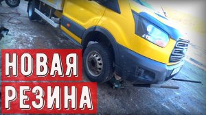 Занимаюсь Фордом на выходных