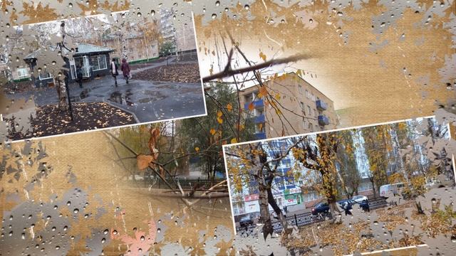 Музыка осени