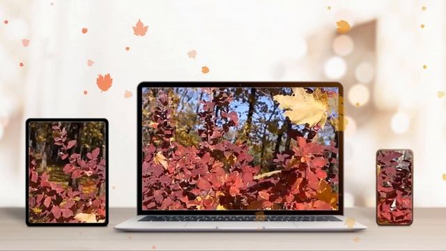 Зверевой Наталье Михайловне