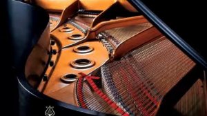 Erwin Xia plays Stravinsky Trois mouvements de Petrouchka, 1.Danse Russe