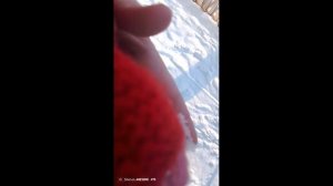 Котобаз