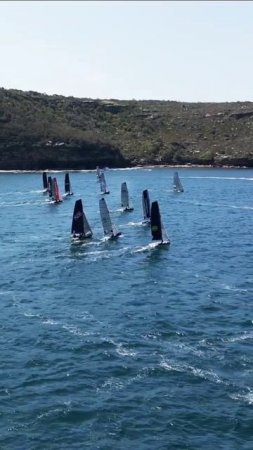 skiffs I guess #16ftskiff #sailinglife #16footers #sydneyharbour