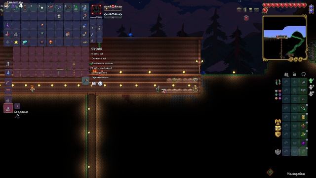 Новая попытка пройти Terraria: Calamity Mod | Стрим №1