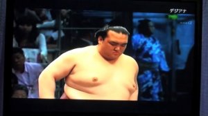 Nagoya Basho Harumafuji
