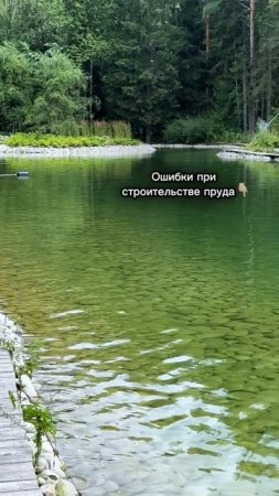 ⚠️7 ошибок, которые превратят пруд мечты в болото!
