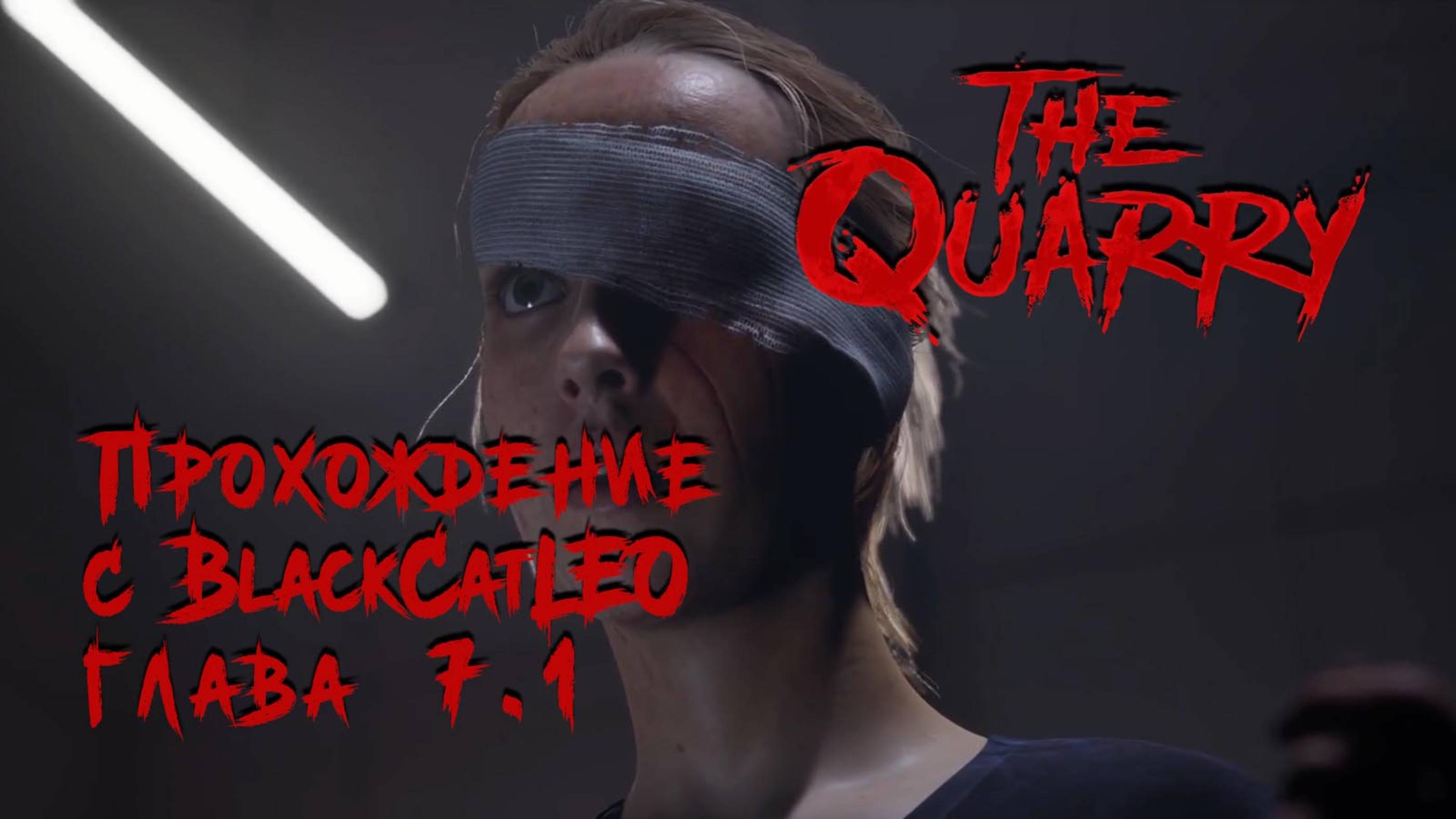 The Quarry - прохождение с BlackCatLEO (глава 7-1)