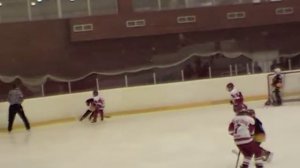 DRAFT HOCKEY TOURNAMENT ALEKSIN  Шершни   Витязь2 2 й период