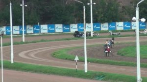 Московский ипподром. Бега. 04.09.16. Все финиши дня