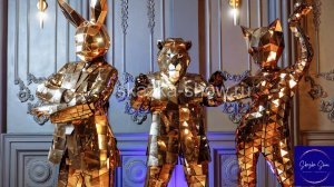 Зеркальное шоу СПб заказать