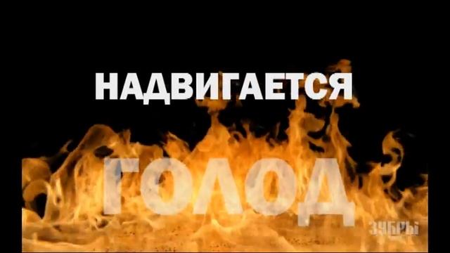 Зубры против голода