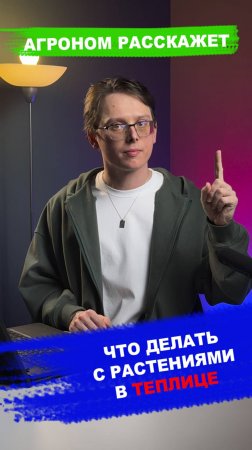 Что делать с растениями в теплице?
