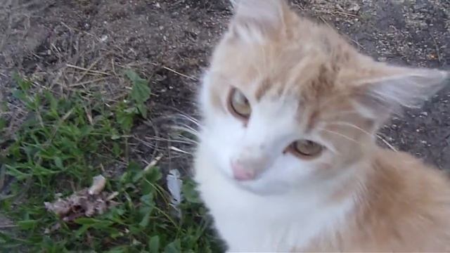 Маленькая компания