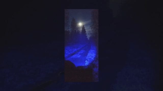 Ночь.