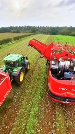 Harvesting sugar beet. #farmequipment #farmmachinery #britishfarming #agriculture #farming