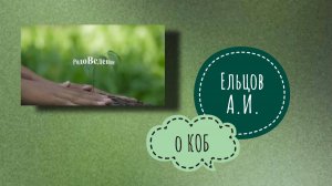 Ельцов А.И. о КОБ