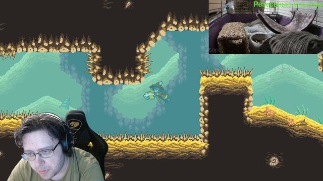 Пляжный эпизод! Monster Sanctuary, день 5
