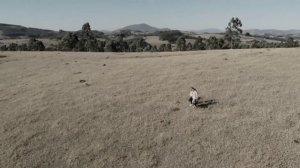 Avicii - How Many Lovers ft. Alex Ebert (Music Video)
