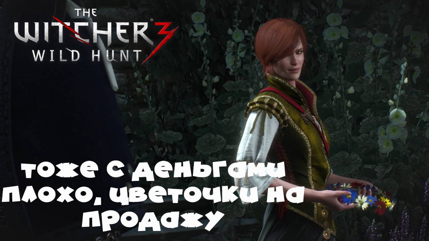 Прохождение The Witcher 3 #89 Встреча семейства Эвериков