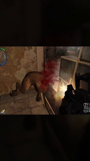 Когда зашел в сталкер... #сталкер #аимыч #игры