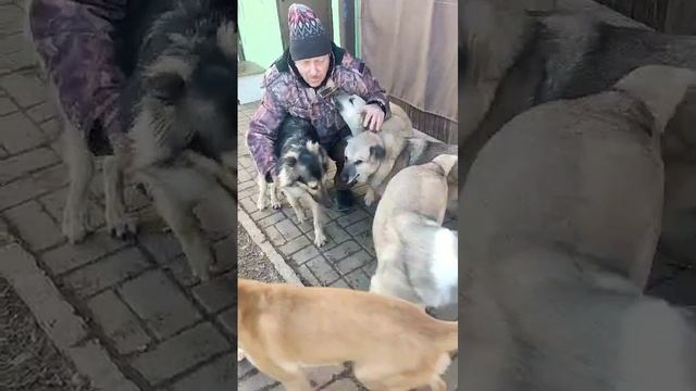 в приюте