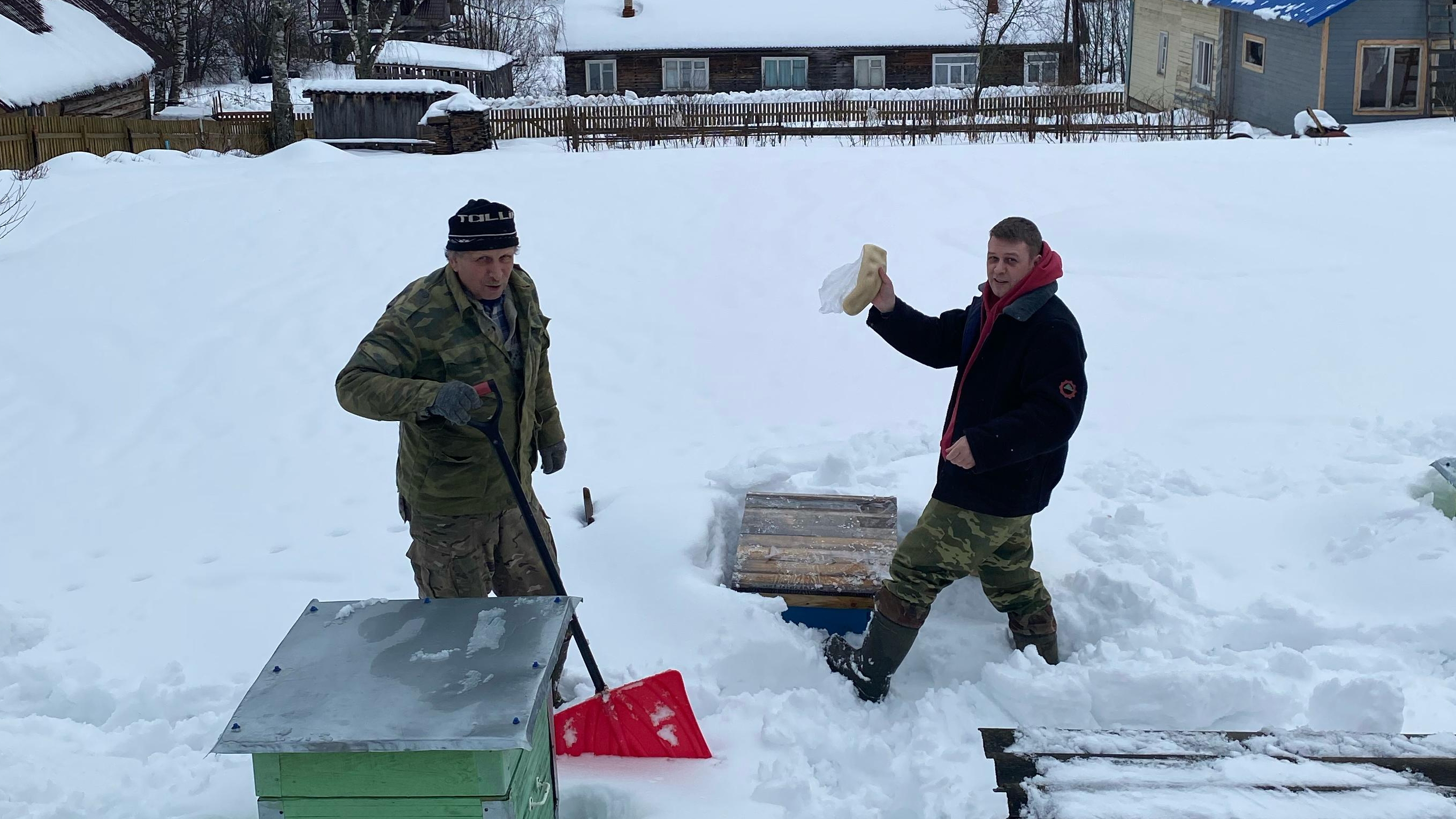 Кормление пчёл после зимы 9 марта