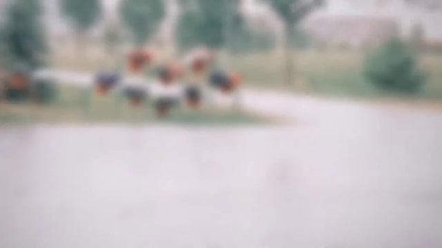 Дождик.