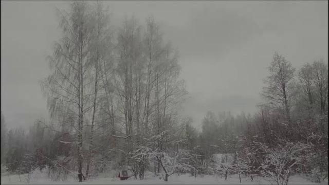 Иеромонах Роман. «В этот час, полночный час...»