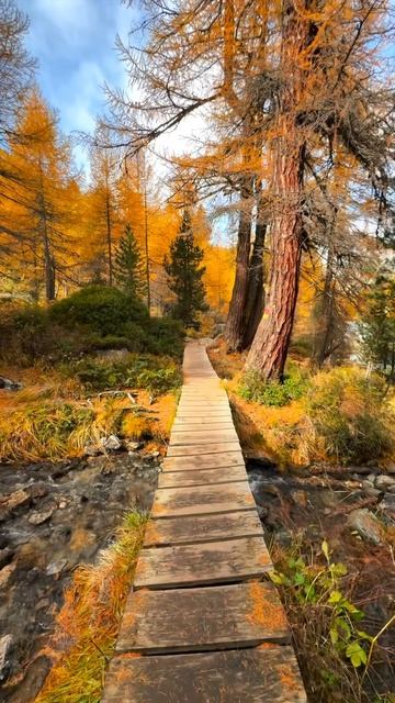#швейцария #вода #лес #горы #природа Стиль 🔥 Поддержи подпиской!