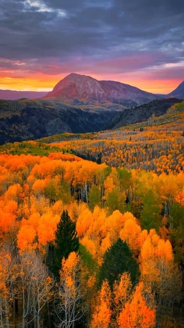 #сша #лес #горы #закат #небо #природа Стиль 🔥 Поддержи подпиской!