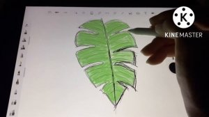 How to draw monstera leaf