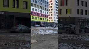 Обзор локации Москва, Отрадная улица, 15